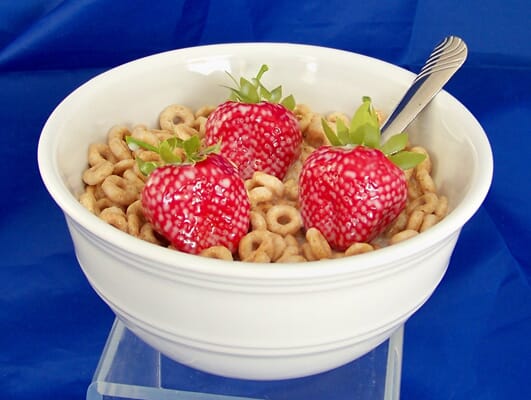 Fake Breakfast Plates & Artificial Cereal Bowls for display - Props America