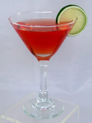 Fake Mixed Drinks - Props America Props America